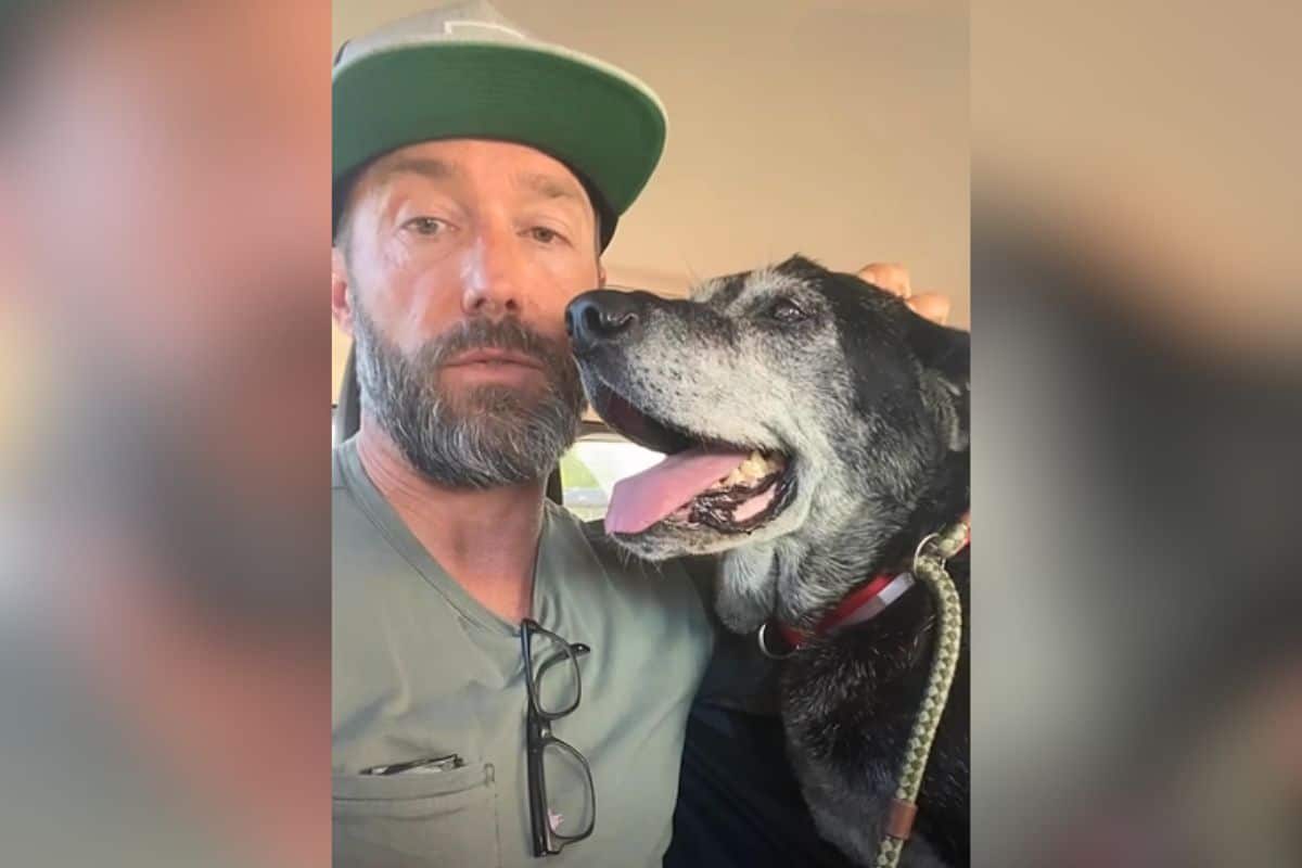 Mann nimmt krebskranken Hund auf, damit er nicht im Tierheim einsam ...