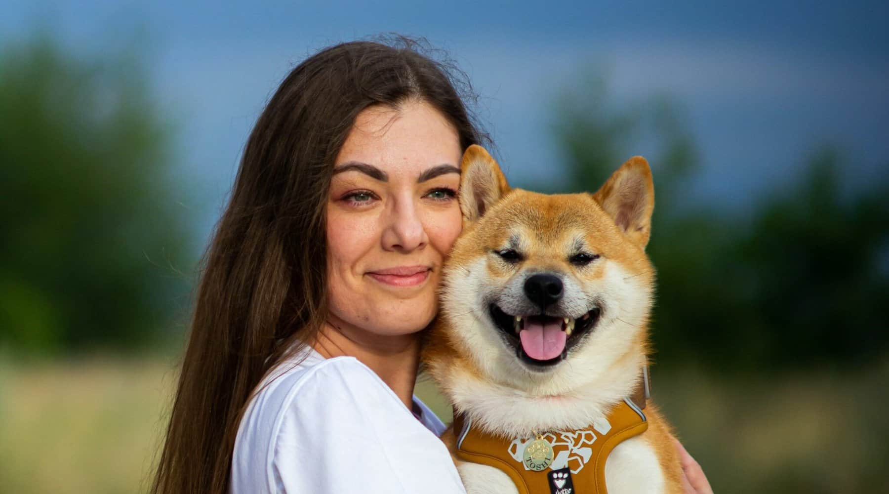 Du musst dringend dein Hund abgeben? Das gibt es zu beachten