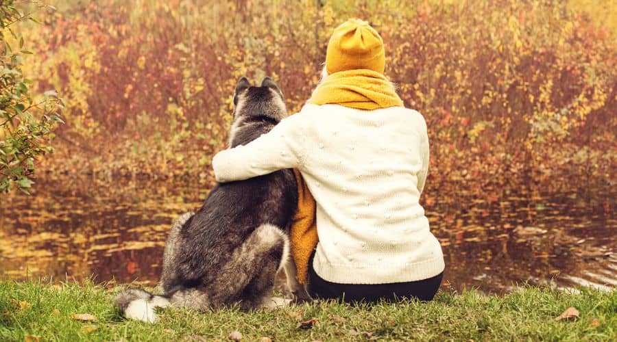 Hund Dr ckt Sich Seitlich An Mich Das Ist Die Bedeutung Hund Dr ckt Sich Seitlich An Mich Das Ist Die Bedeutung