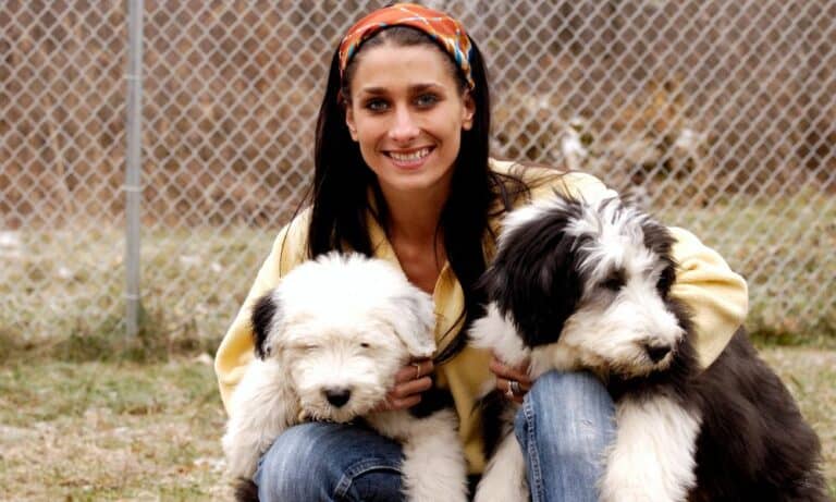 Zweithund zu altem Hund halten: Ja oder Nein? (7 Tipps)