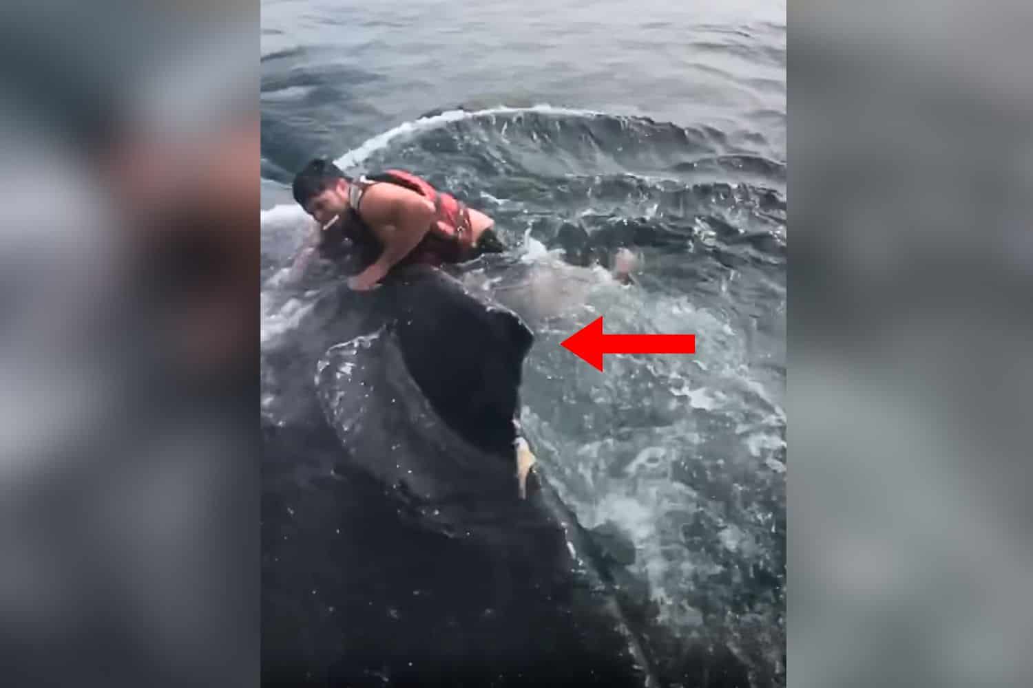 Bootsfahrer entdeckt Seil im Wasser: Als er sieht, wer daran hängt ...