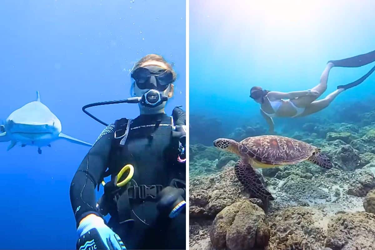 Gefährlich und faszinierend: Was diese Taucherin in ihrem Job tut ...