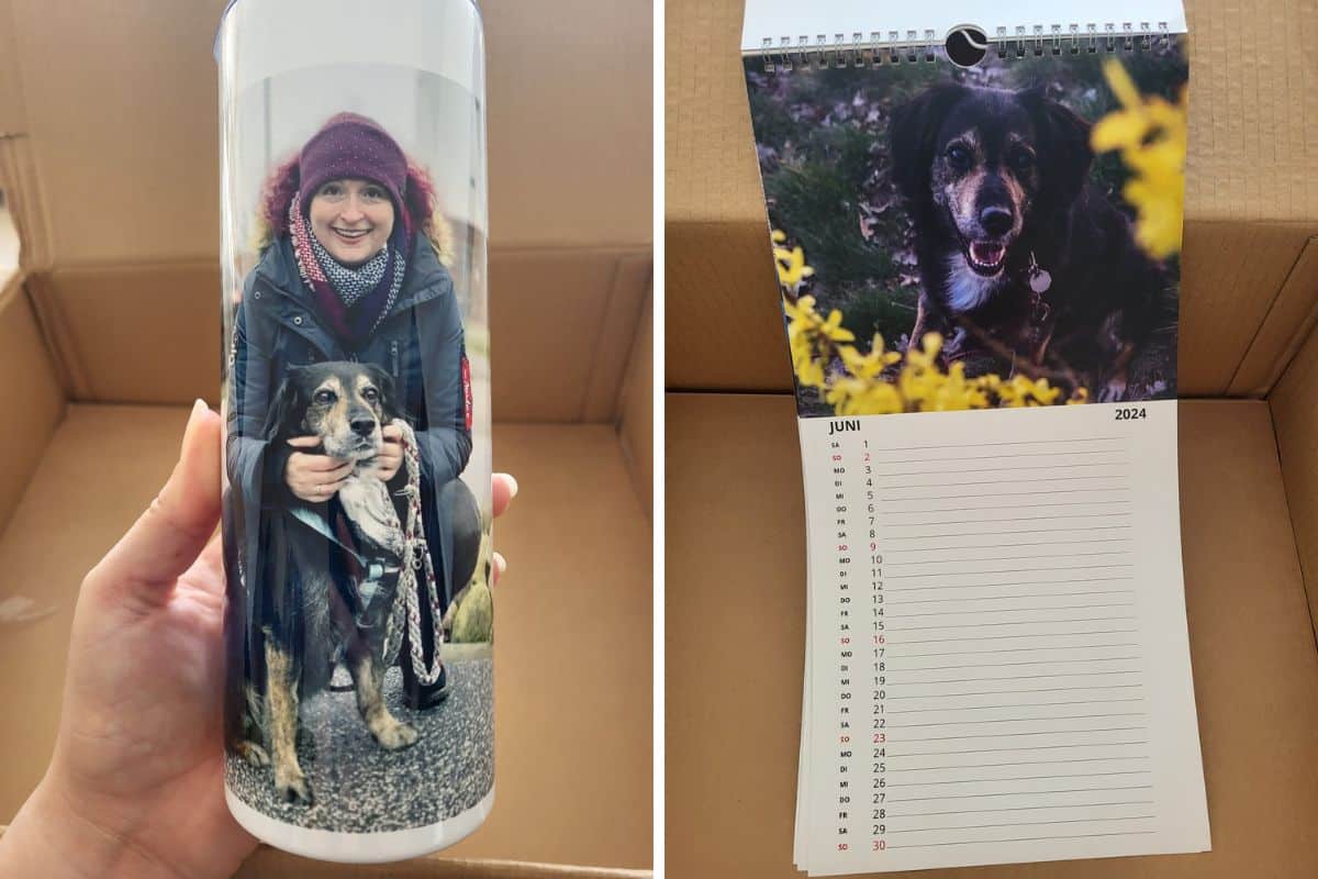 Wir Haben 3 Produkte Von Meinfoto De Getestet Das Ist Das Ergebnis