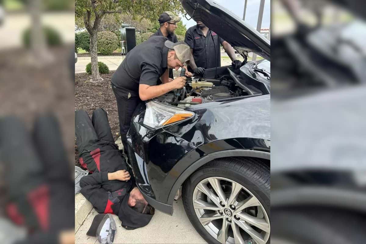 Automechaniker gucken unter Motorhaube: Sie trauen ihren Augen kaum ...