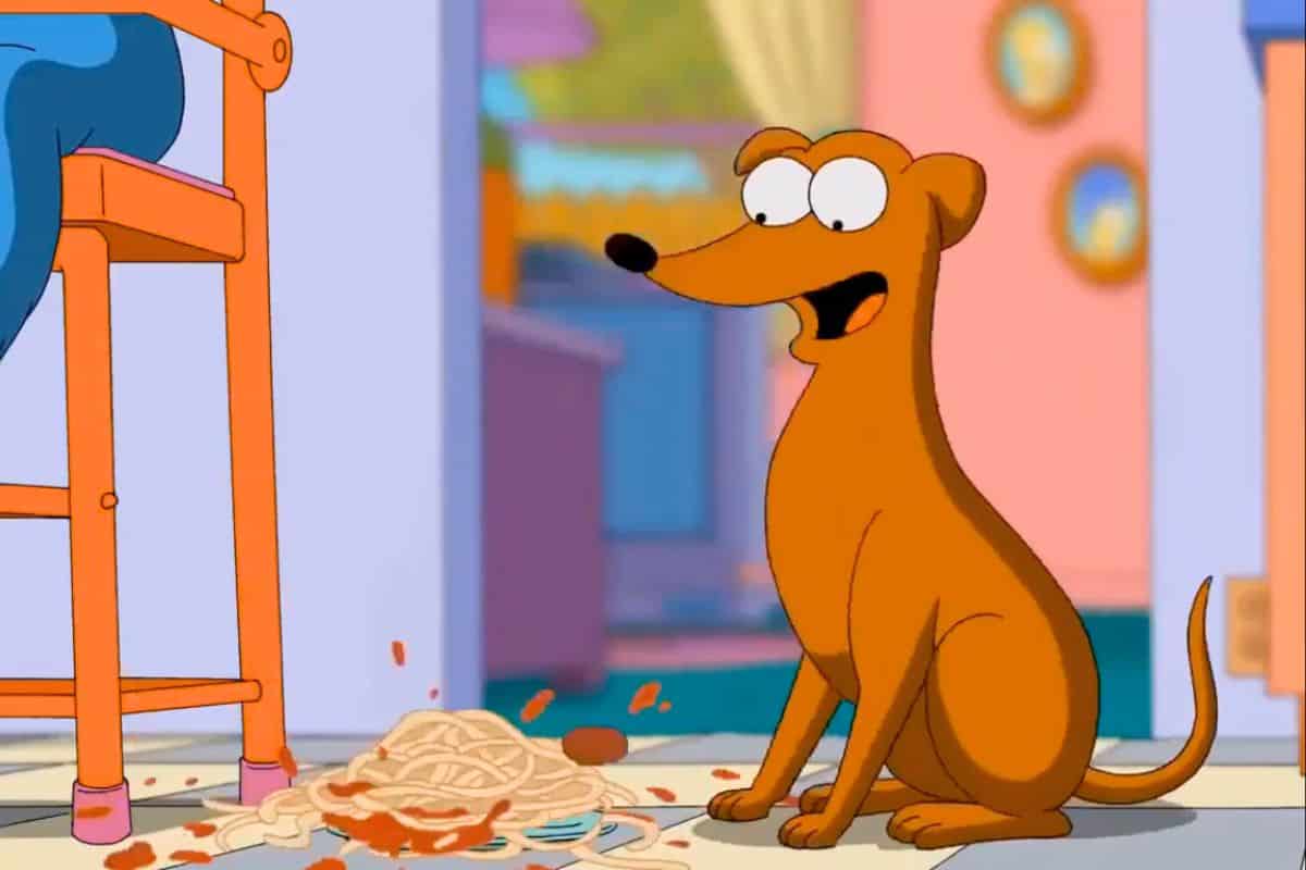 Alles über den Hund der Simpsons: Name, Rasse, Bedeutung