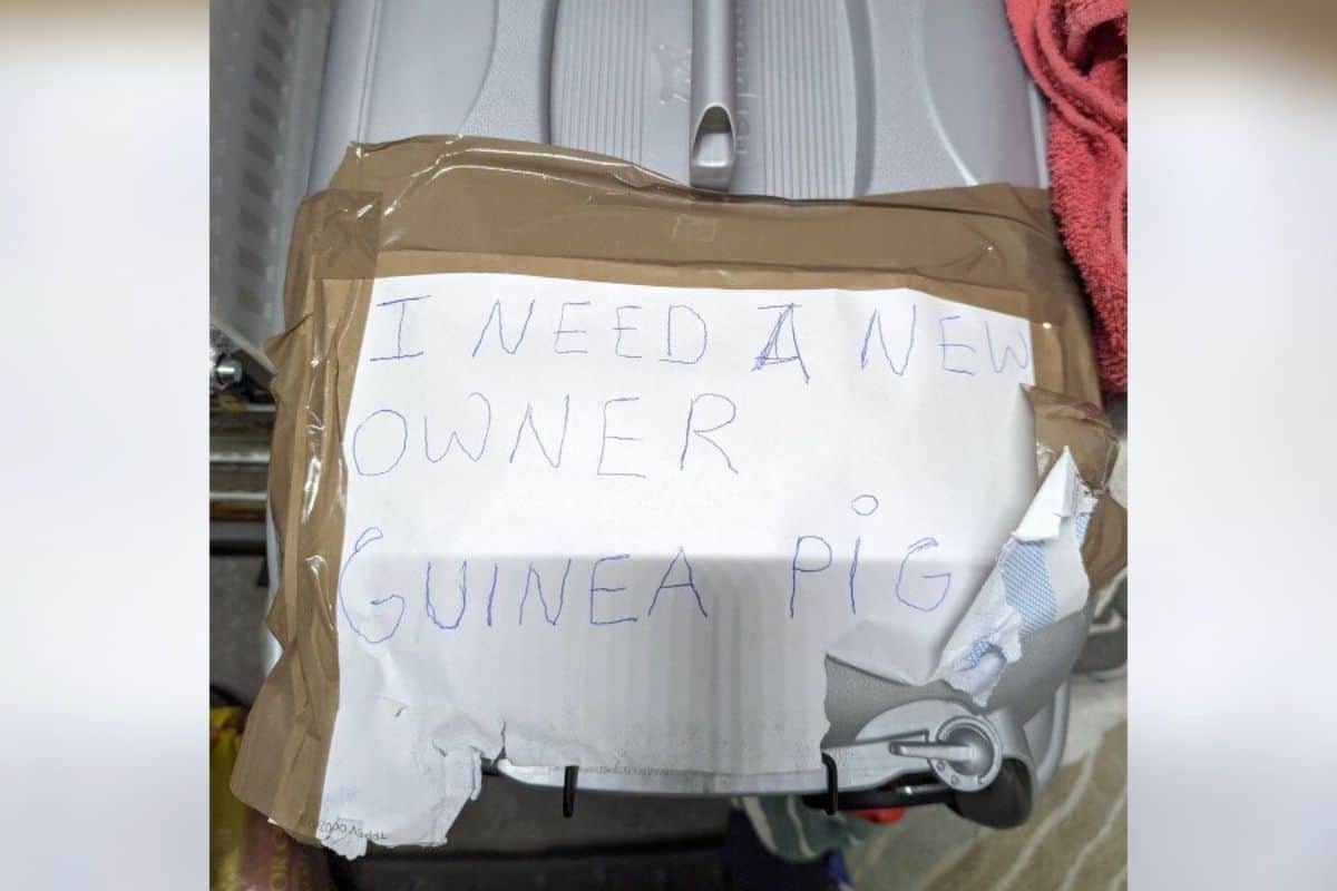 Box steht verlassen in einem U-Bahnhof - wer darin auf Hilfe wartet ...