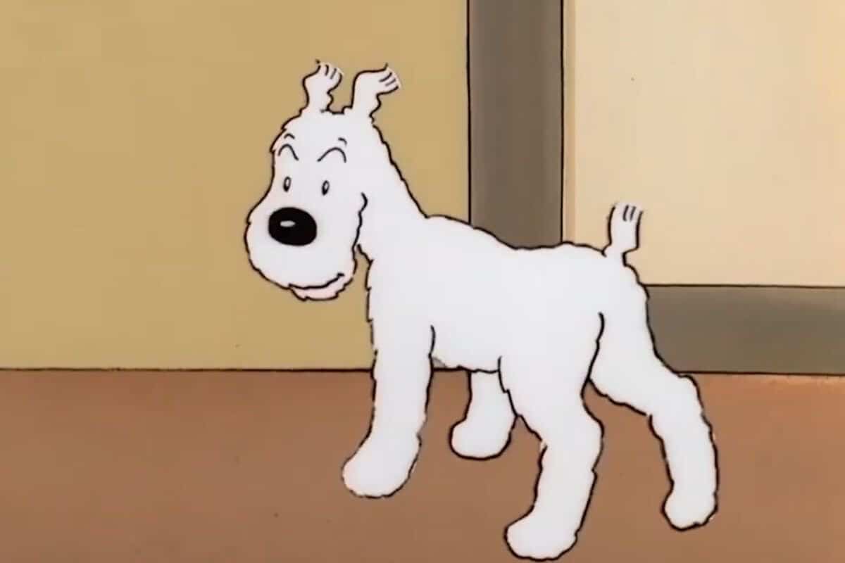 Tim und Struppi: Das ist der beliebte Hund aus den Comics!